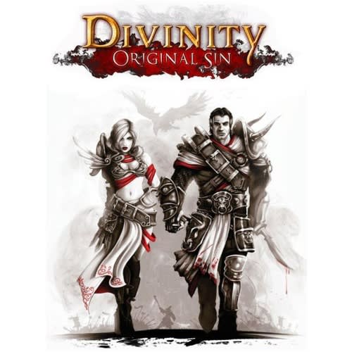 Gamesalor Divinity Original Sin PC Game | Konga Online Shopping