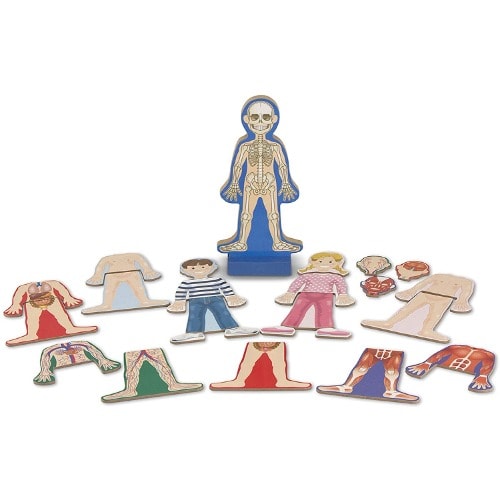 Melissa & Doug Magnetic Human Body Play Set | Konga Online Shopping