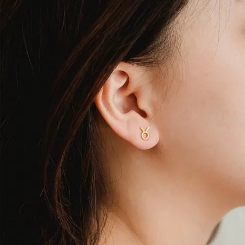 Gold Plated Taurus Zodiac Sign Earring | 6398254 | Konga Online Shopping