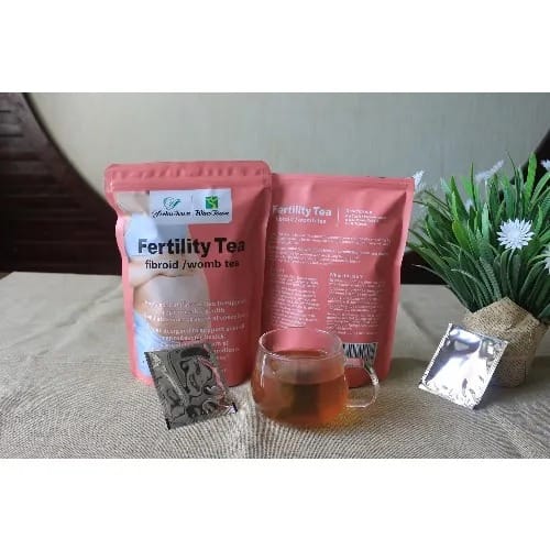 Winstown Fertility Tea Fibroid & Womb Tea -30bags | 6144064 | Konga ...