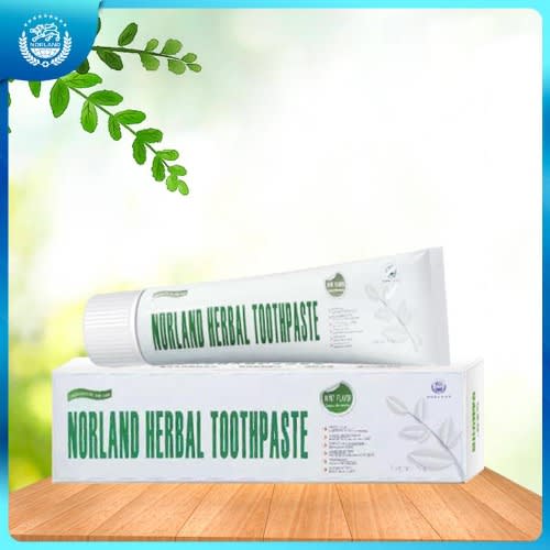 Norland Herbal Toothpaste (mint Flavour) - 150g | 6650118 | Konga ...
