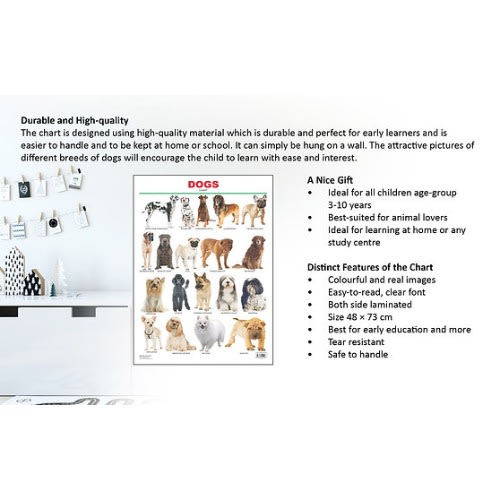 Dogs - Educational Laminated Wall Chart | Konga Online Shopping