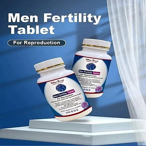 Winstown Men's Fertility Tablets - 60 Tablets | 6373510 | Konga Online ...