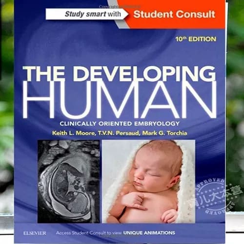The Developing Human: Clinically Oriented Embryology (10th Edition ...