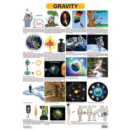 Gravity - Educational Laminated Wall Chart | Konga Online Shopping
