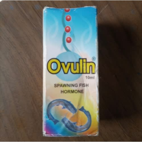 Ovulin For Catfish/aquarium Fish - 10ml | Konga Online Shopping