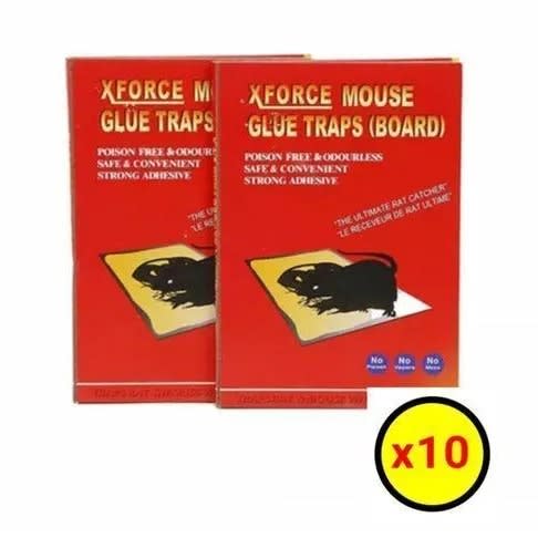 Xforce Fast Rat Gum Trap Board - 10 Piece | Konga Online Shopping