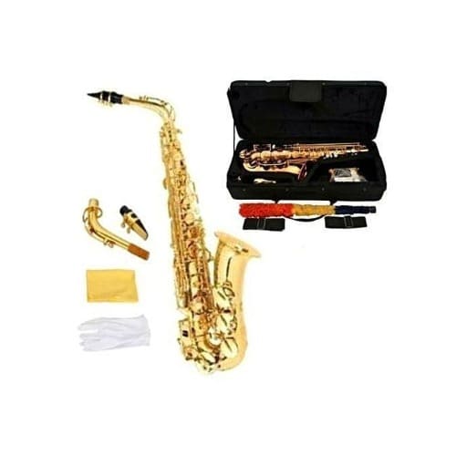 Premier Professional Alto Saxophone - Gold | 4642069 | Konga Online ...