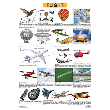 Flight - Educational Laminated Wall Chart | 6457660 | Konga Online Shopping