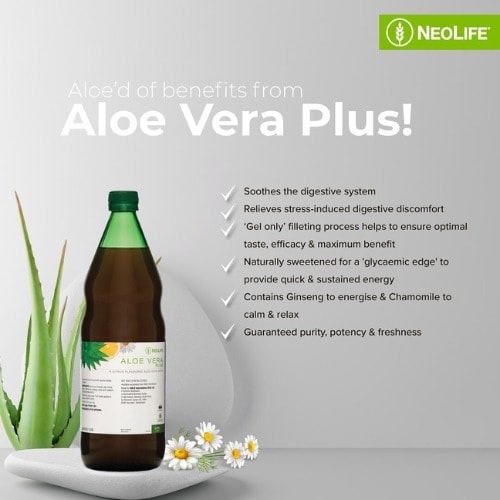 GNLD Neolife Aloe Vera Plus Orange - 1 Litre | 6037336 | Konga Online ...