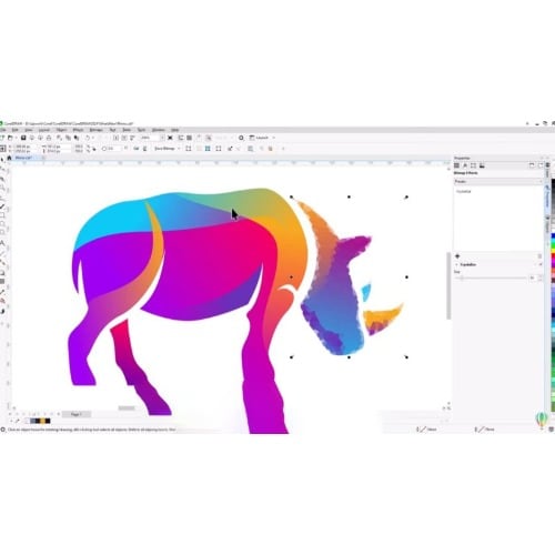 Coreldraw Graphics Suite 2024 | Konga Online Shopping