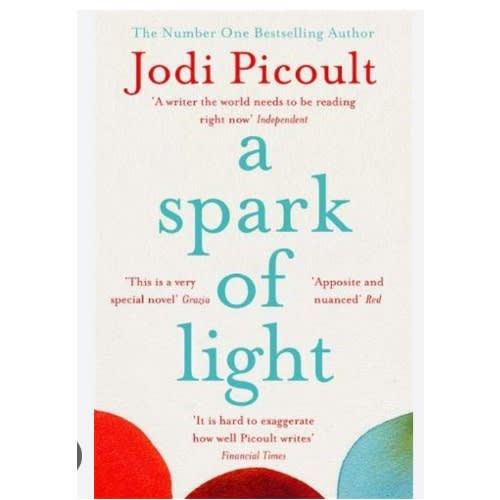 A Spark Of Light: A Novel | Konga Online Shopping