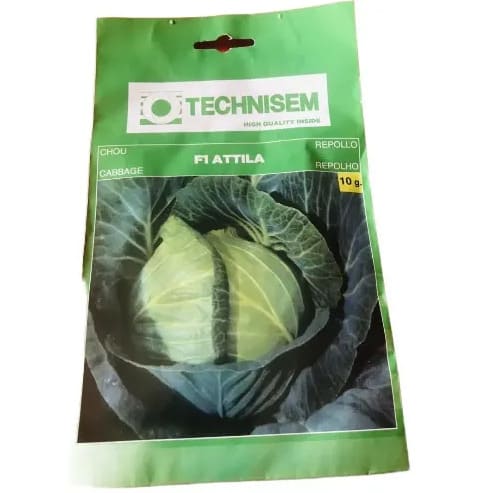 Technisem Hybrid Cabbage Seed (attila F1 ) -10g | Konga Online Shopping