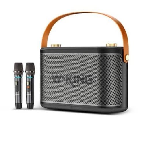 W-King Portable Bluetooth Speaker With Karaoke - H10 - 120W | Konga ...