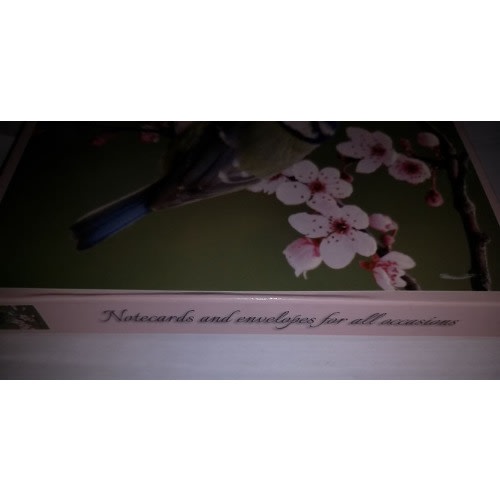 Paper Place 9-pack Notecards For All Occasions - Birds | Konga Online ...