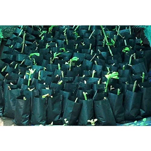 Grow Plant Nursery Bags (6x8 Inches) - Pack Of 500 Pieces | Konga ...