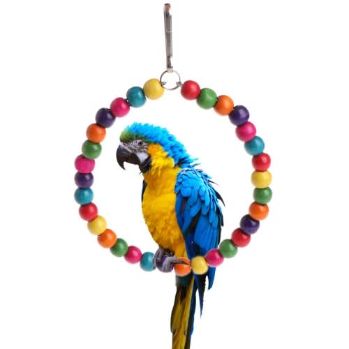 TD Colourful Wooden Parrot Bead Circle Bird Toy | Konga Online Shopping