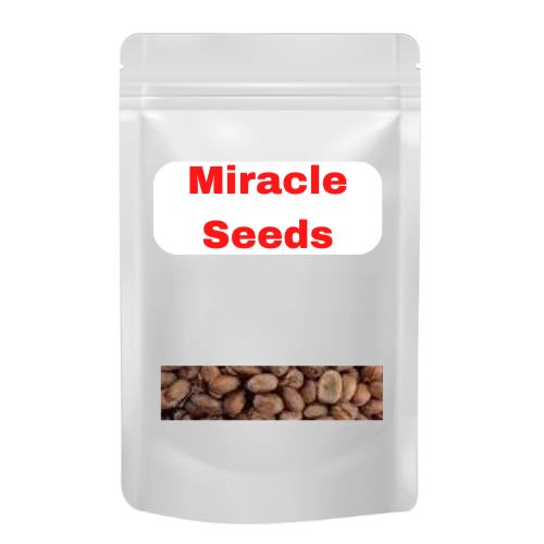 Miracle Ghana Seeds - 100g | Konga Online Shopping