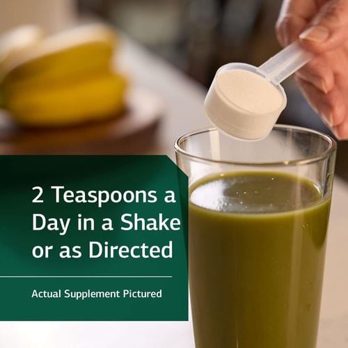 Prebiotic Inulin - Immune Support, Digestion And Diges | Konga Online ...