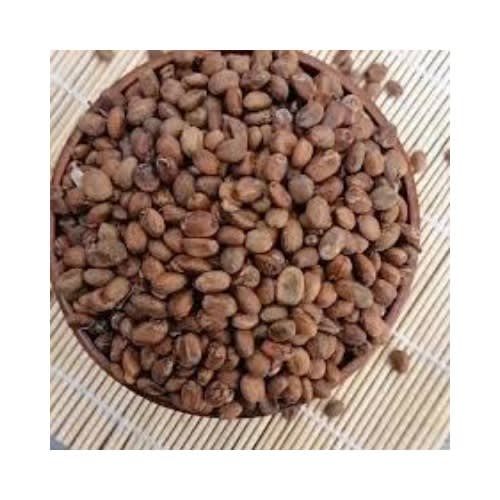 Miracle Ghana Seeds - 100g | Konga Online Shopping