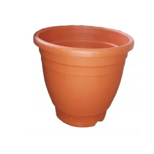 Empty Flower Pot | Konga Online Shopping