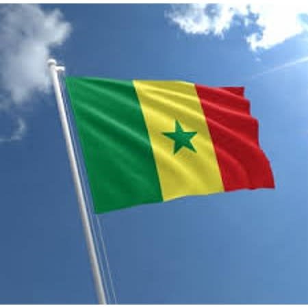 Senegal Flag | Konga Online Shopping