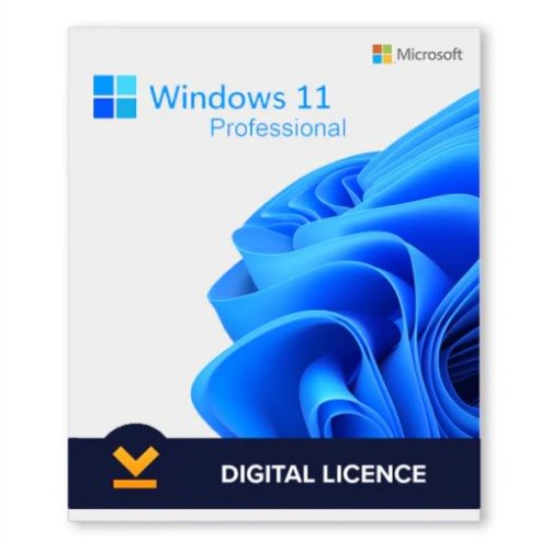 Microsoft Windows 11 Professional License Key | Konga Online Shopping
