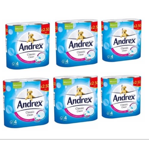 Andrex Classic Clean Toilet Tissue - Pack Of 24 Rolls | Konga Online ...