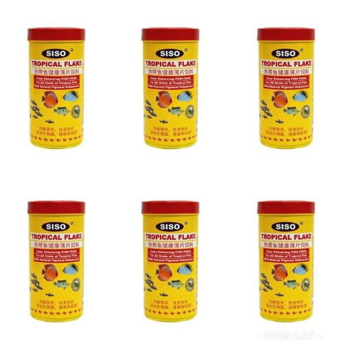Flakes Type Fish Food For Aquarium Fishes - 50g x 6 | Konga Online Shopping