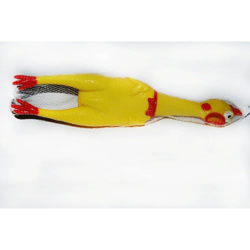 Breeze36 Urban Screaming Chicken Squeaky Toy - Large | Konga Online ...