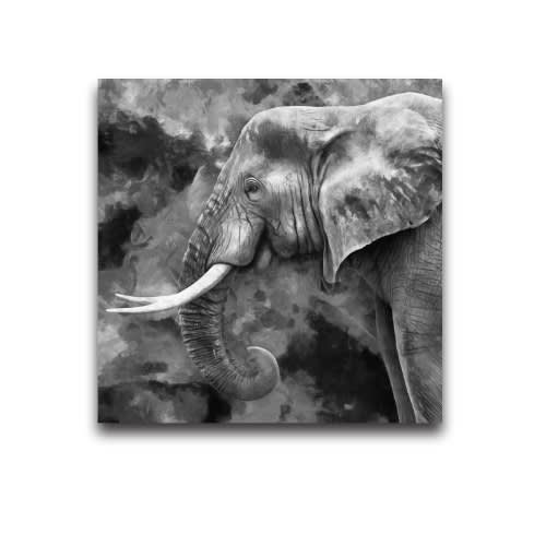 Artist Elephant Wall Canvas | Konga Online Shopping