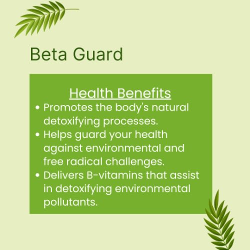 GNLD Beta Guard - 100 Tablets (single) | Konga Online Shopping