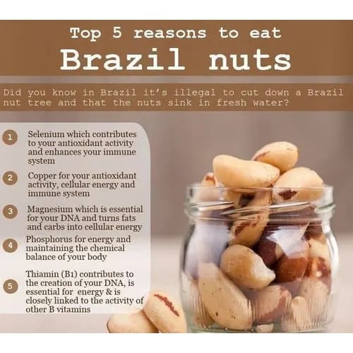 Organic Brazil Nuts -1kg | Konga Online Shopping