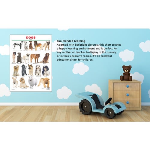Dogs Educational Laminated Wall Chart | Konga Online Shopping