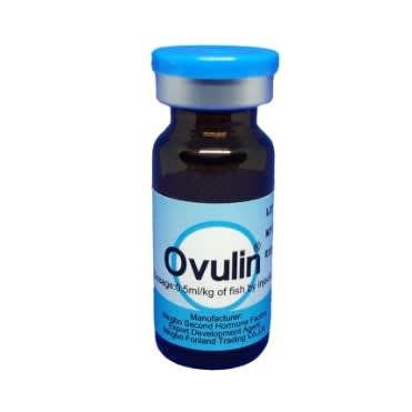 Ovulin For Catfish/aquarium Fish - 10ml | Konga Online Shopping