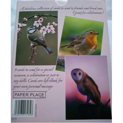 Paper Place 9-pack Notecards For All Occasions - Birds | Konga Online ...